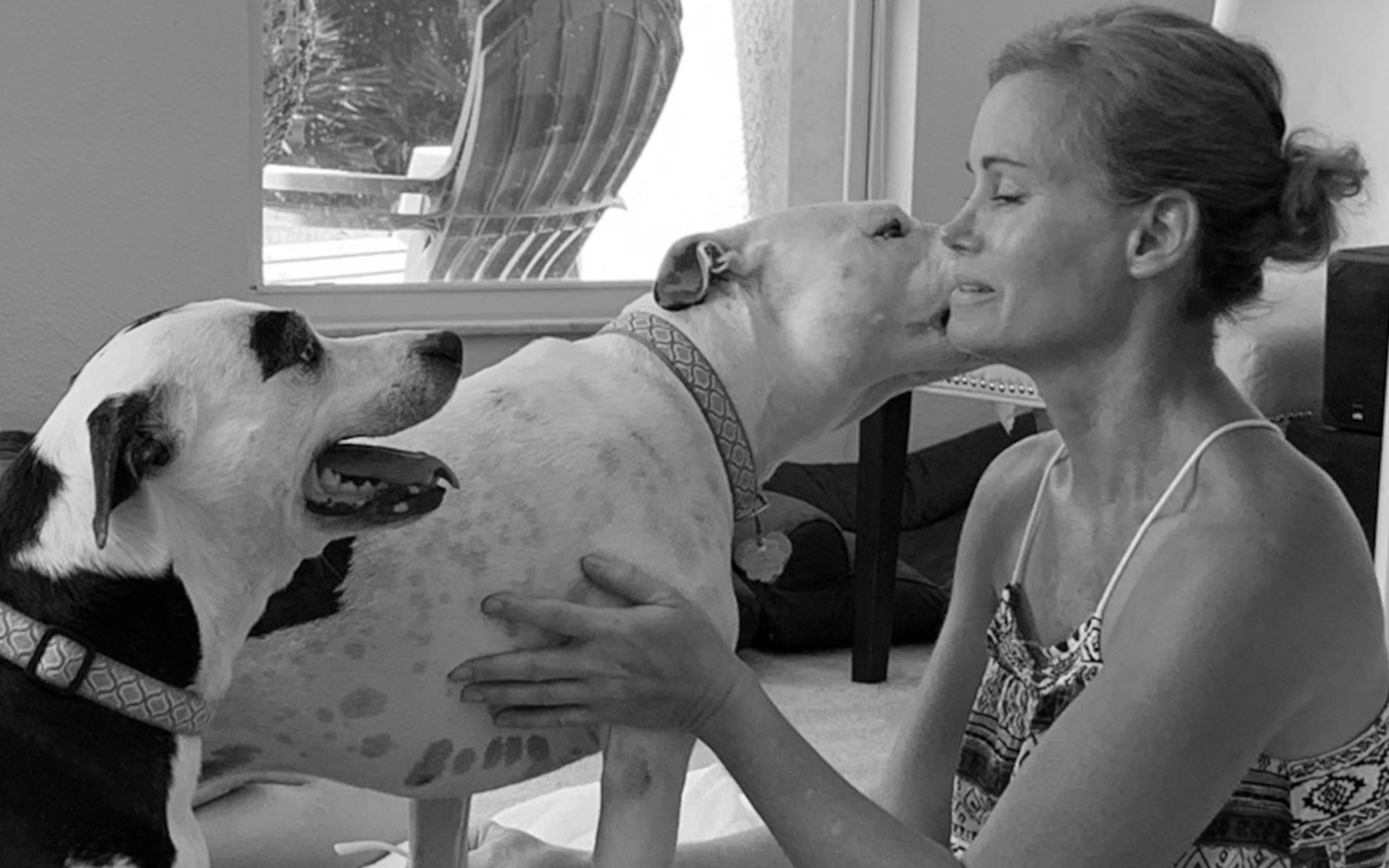 Jacqueline Dietz - Jackie Dietz - Jackie - Jac - In loving memory